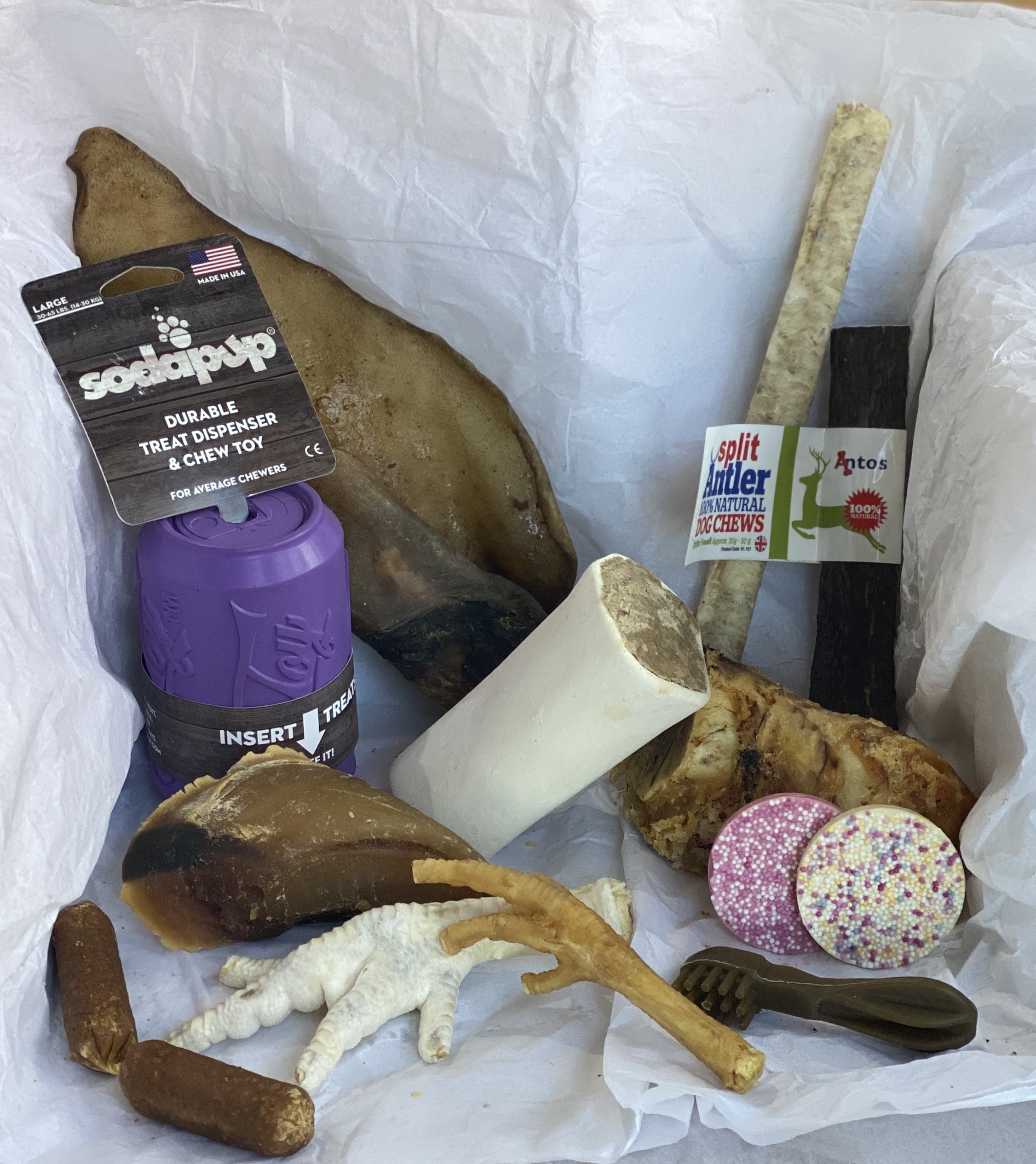 Power Chewer Boredom Box Medium/Large Breed - Sleepy Paws