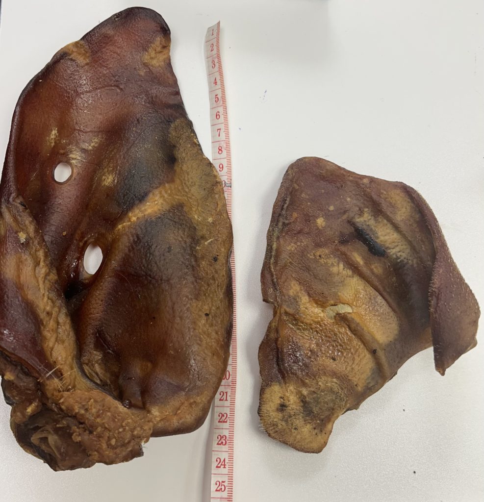 XXL SOW EARS - Sleepy Paws